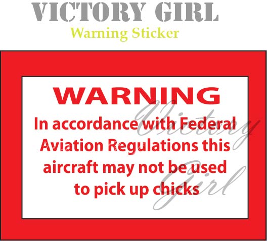 FAA Warning Sticker Vinyl Decal Sticker – Victory Girl